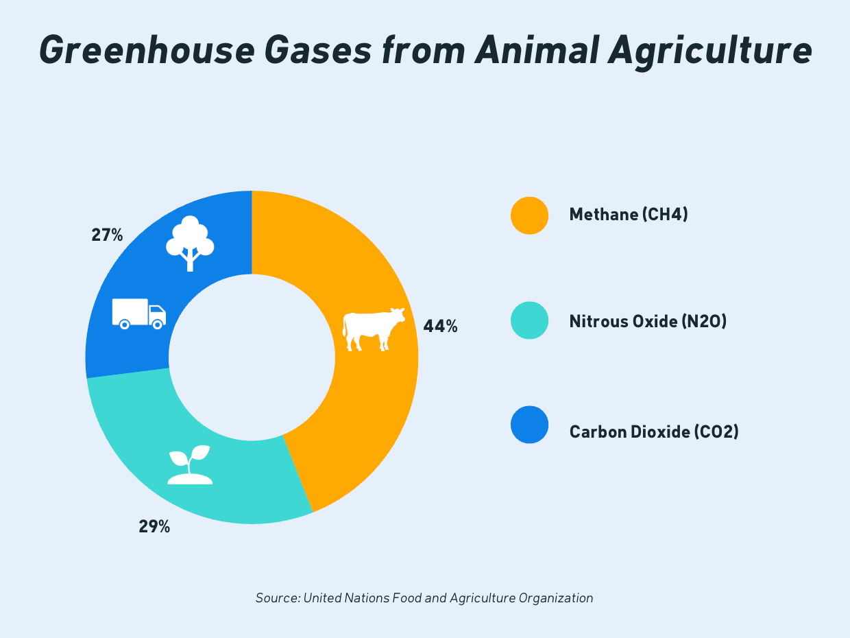 Animal Agriculture’s Impact on Climate Change - SanDiego350