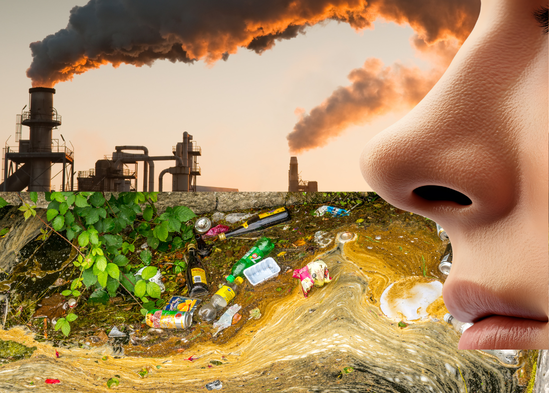 Smell Trouble: The Environmental Politics of Scent Pollution - SanDiego350